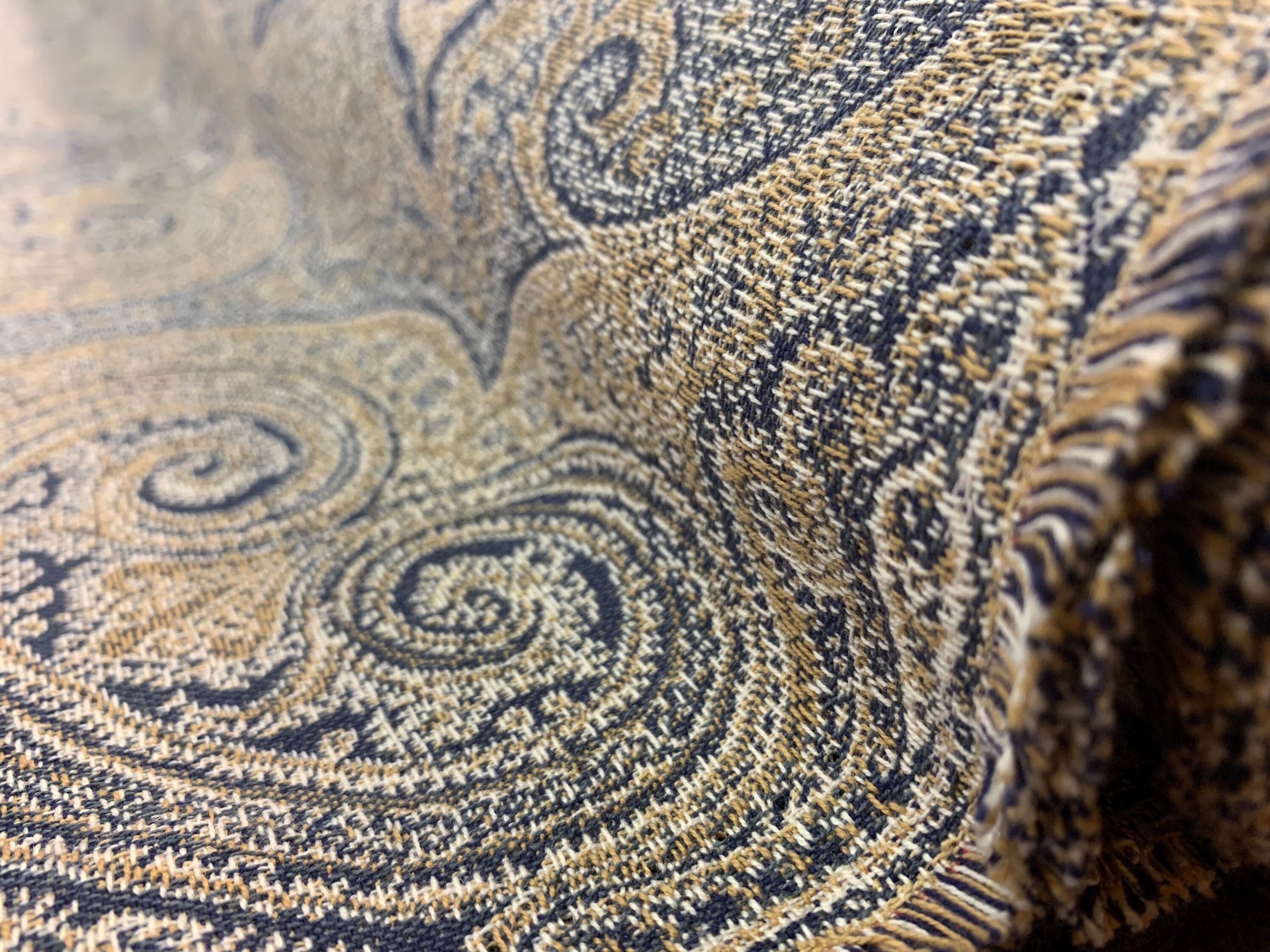 Swept Away Medallion/paisley Pattern Woven Blue, Gold, off White ...
