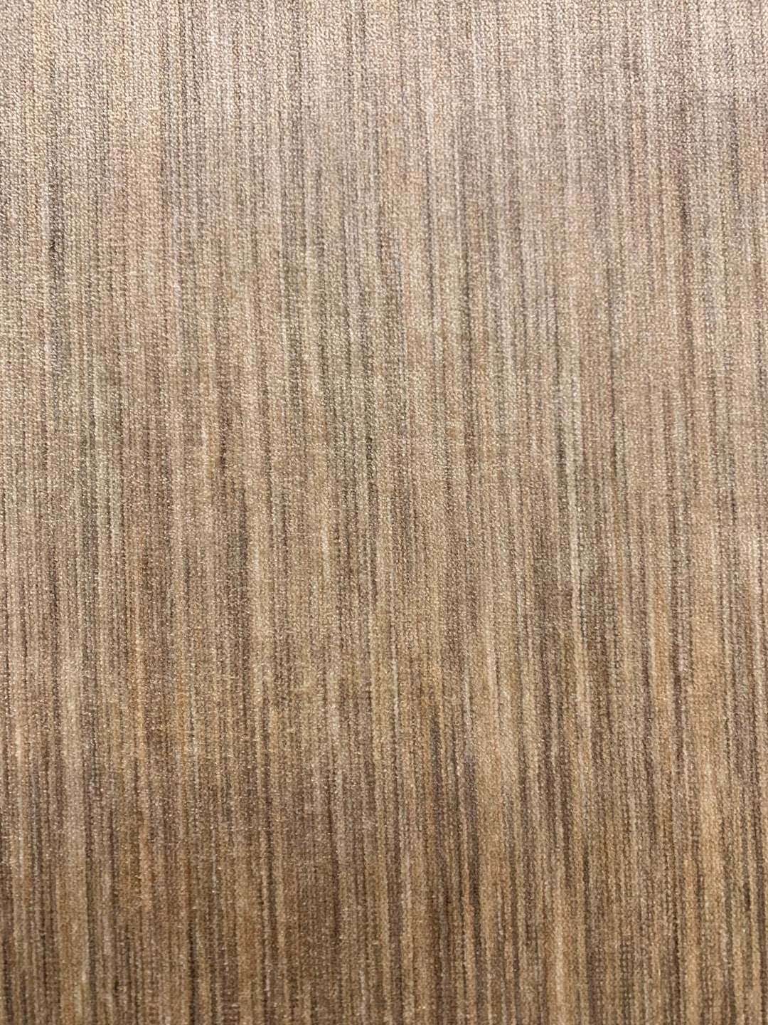 Subtle Stripe Neutral Velvet Crypton Coated Upholstery Fabric by the ...