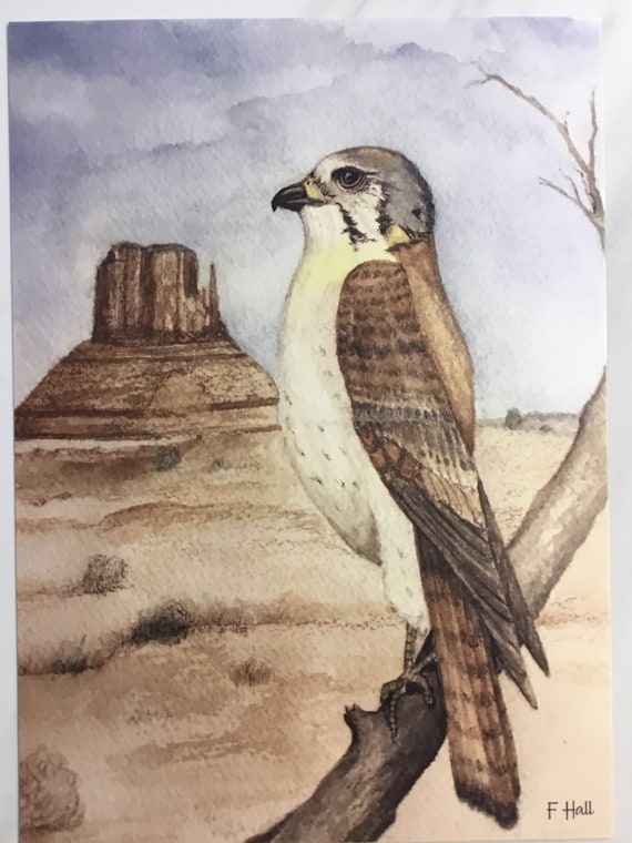 Sparrow Hawk Female Print - Etsy