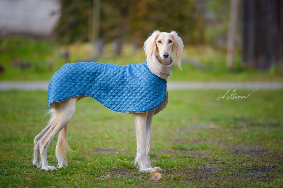 Quilted Saluki Coat - Navy&beige - Etsy