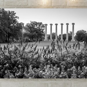 Mizzou, University of Missouri, Mizzou Columns, MU Poster, Mizzou ...