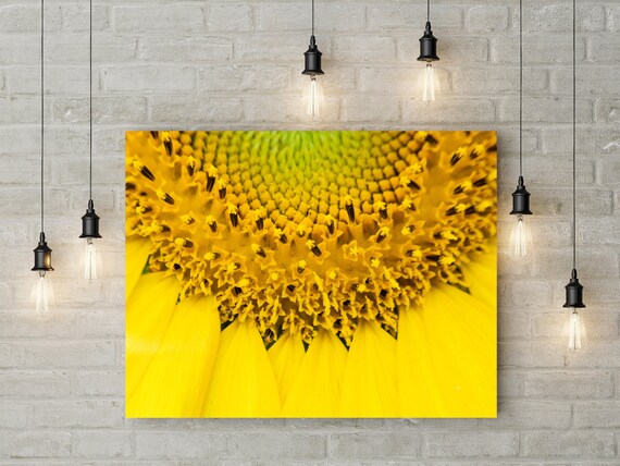 Sunflower Photography Sunflower Poster Sunflower Close-Up | Etsy