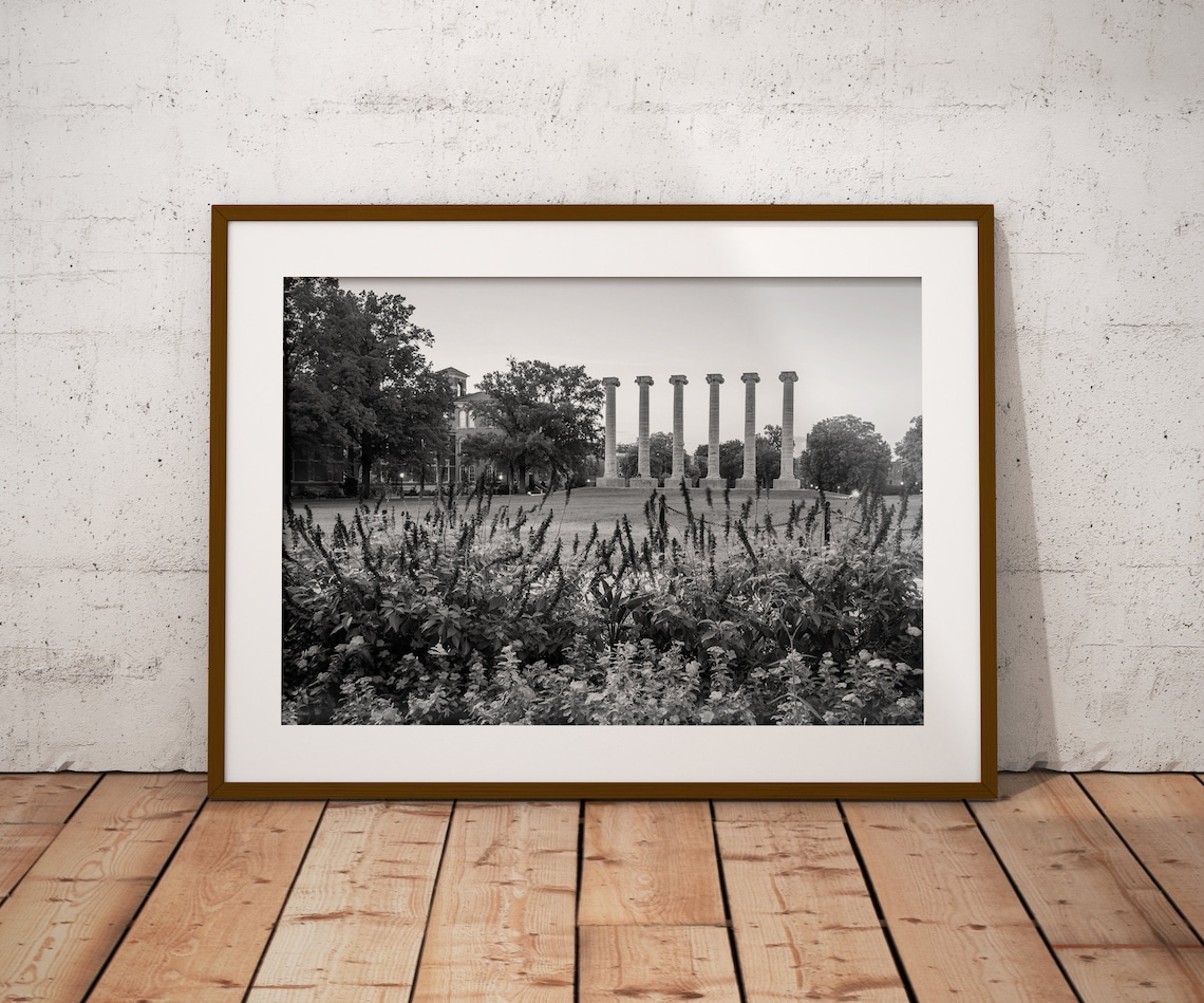 Mizzou University of Missouri Mizzou Columns MU Poster - Etsy