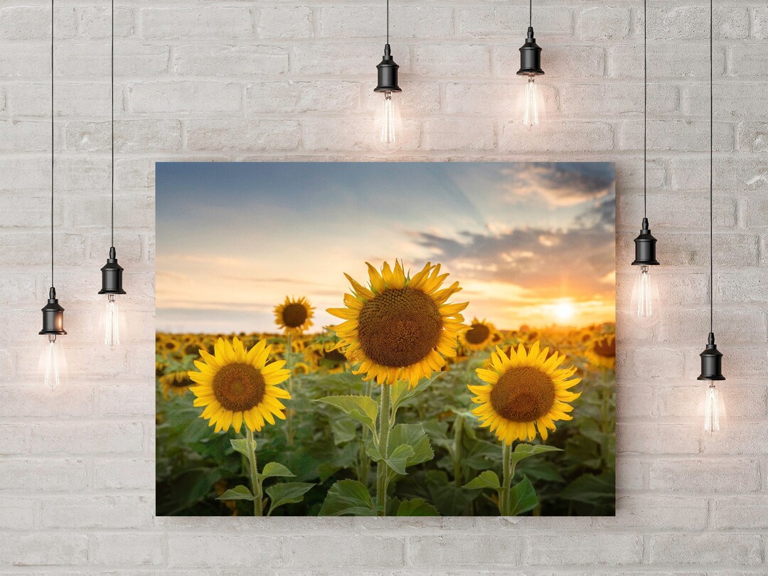 Sunflower Poster, Sunflower Photography, Kitchen Decor, Sunflower Print ...