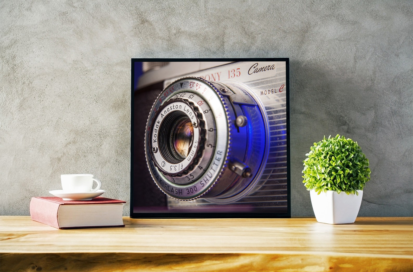 Photographer Gift, Camera Poster, Vintage Camera Print, Kodak, Kodak ...