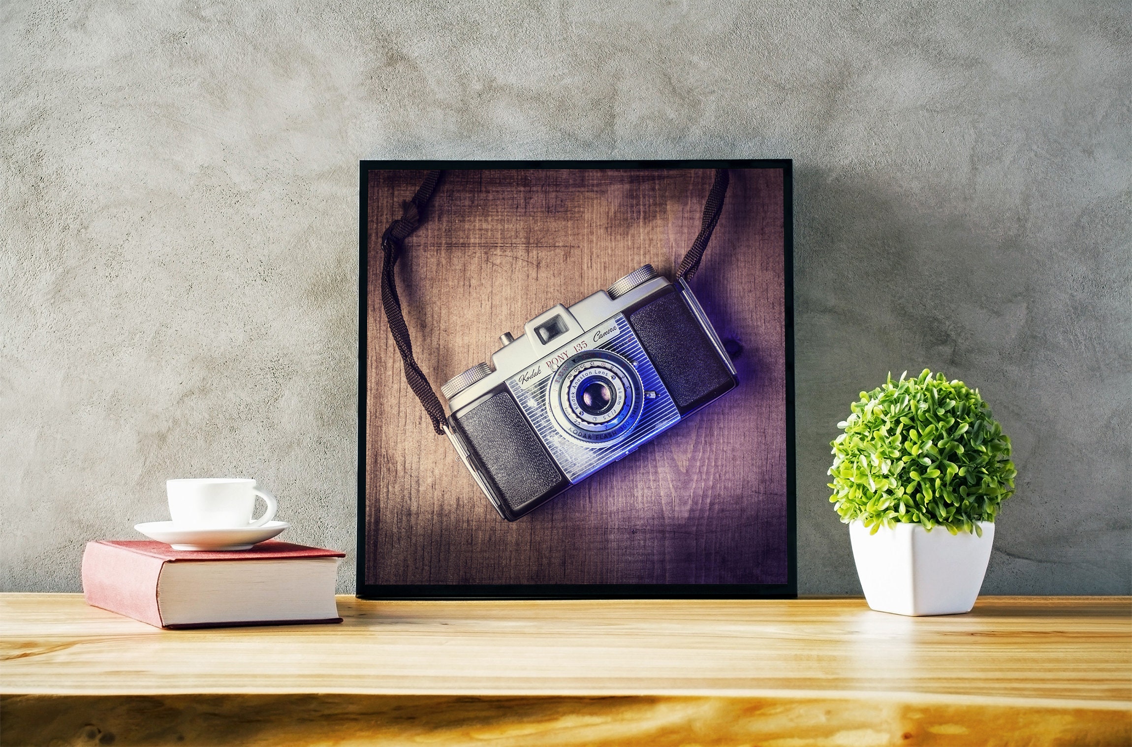 Camera Poster, Camera Decor, Photographer Gift, Graphic Designer Gift ...
