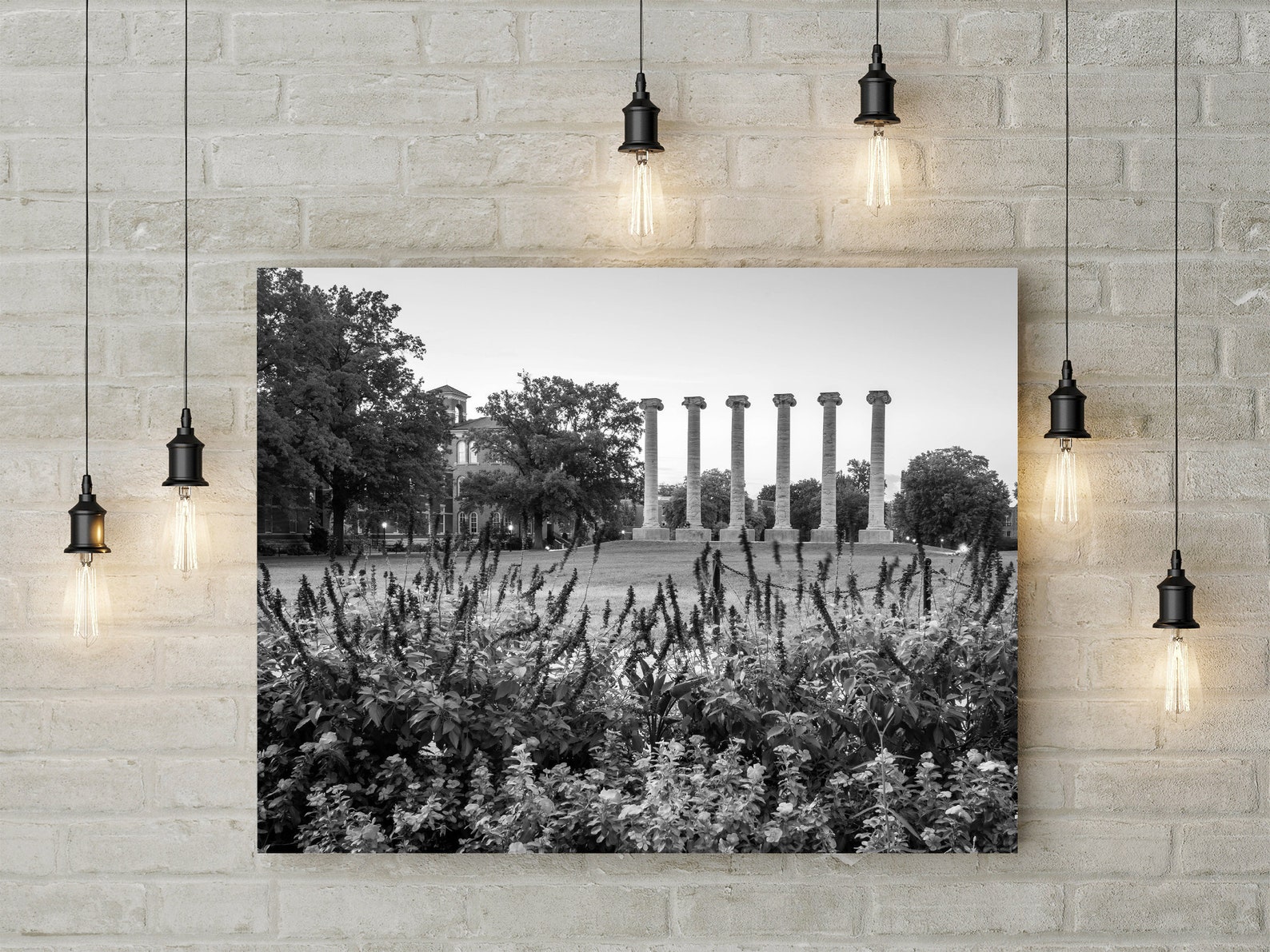 Mizzou, University of Missouri, Mizzou Columns, MU Poster, Mizzou ...