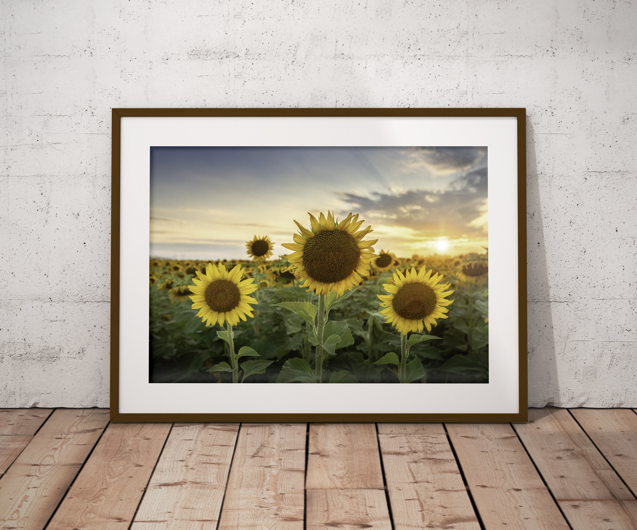Sunflower Poster Sunflower Photography Kitchen Decor - Etsy