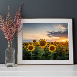 Sunflower Photography, Sunflower Poster, Sunflower Landscape, Sunflower ...