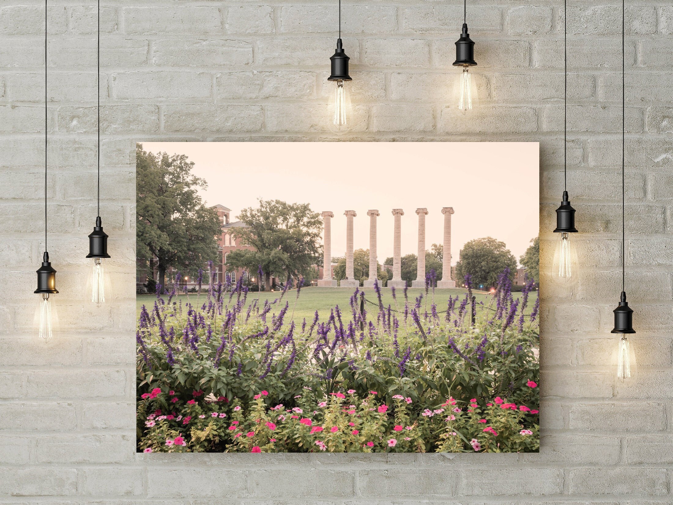 Mizzou Columns, Mizzou Graduation, MU Tigers, University Missouri ...