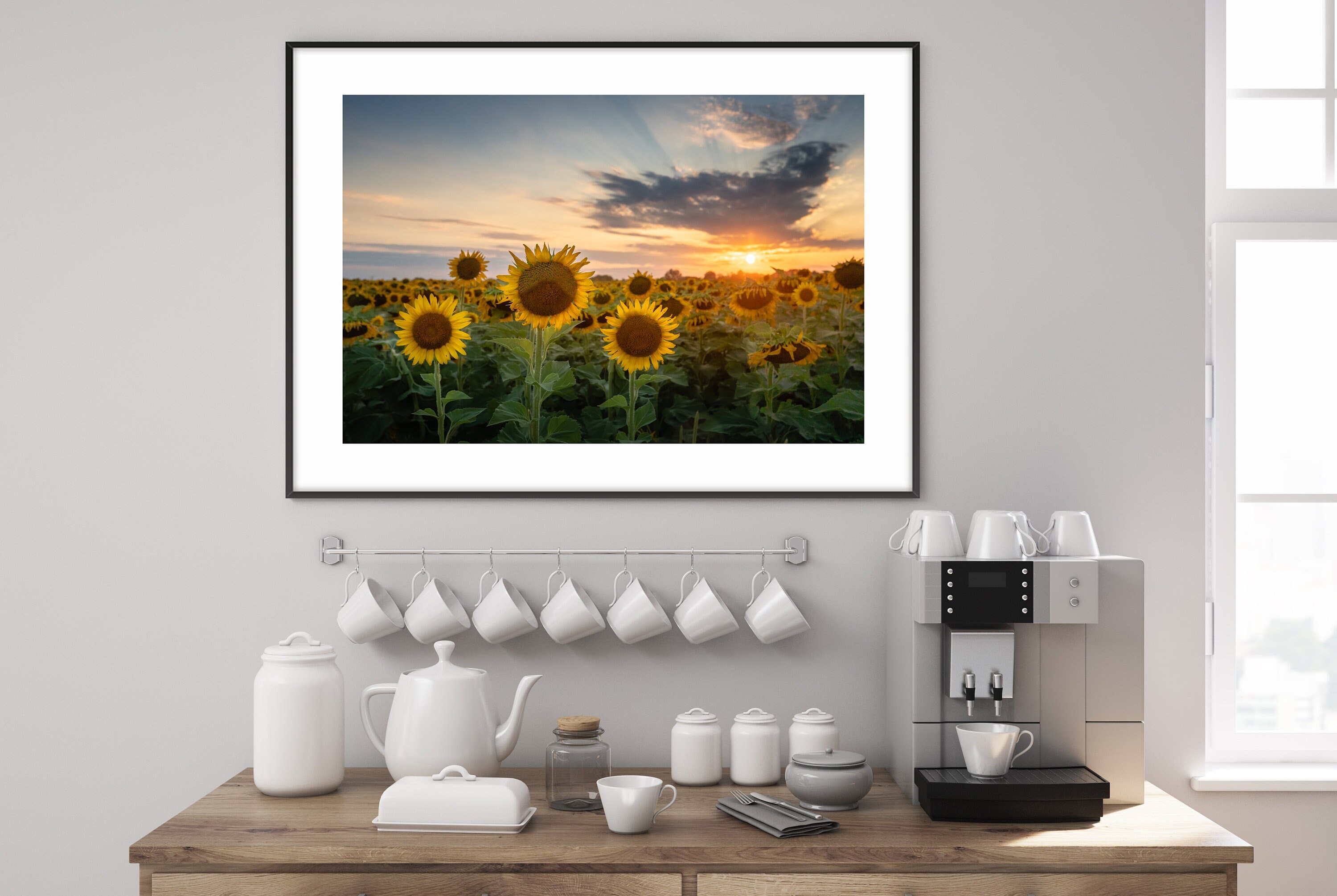 Sunflower Photography, Sunflower Poster, Sunflower Landscape, Sunflower ...