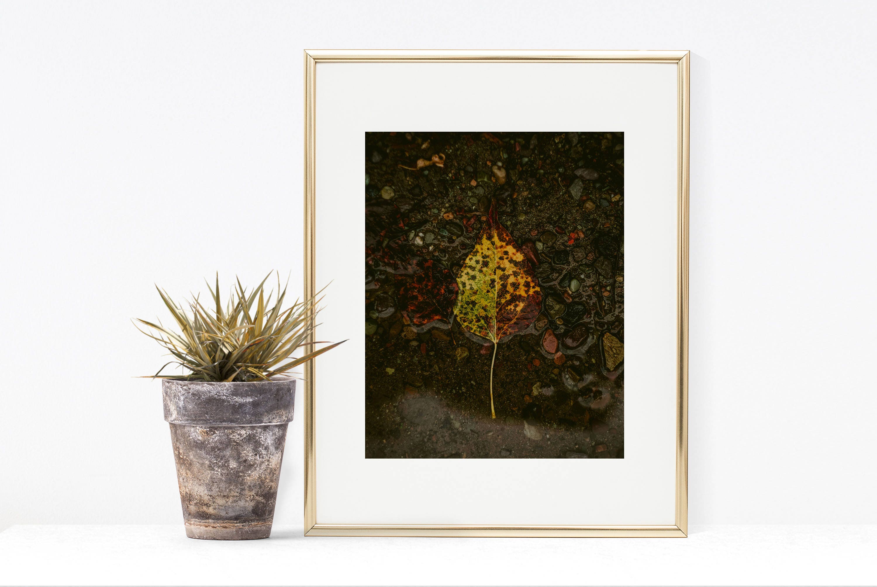 Nature Print Printable Art Digital Download Leaves Nature - Etsy New ...