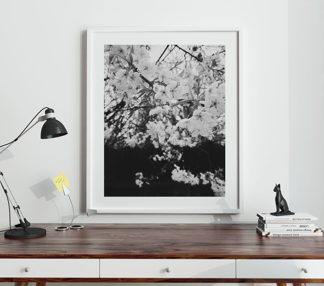 Botanical Art, Botanical Print, Black, Nature Print, Nature Photography ...