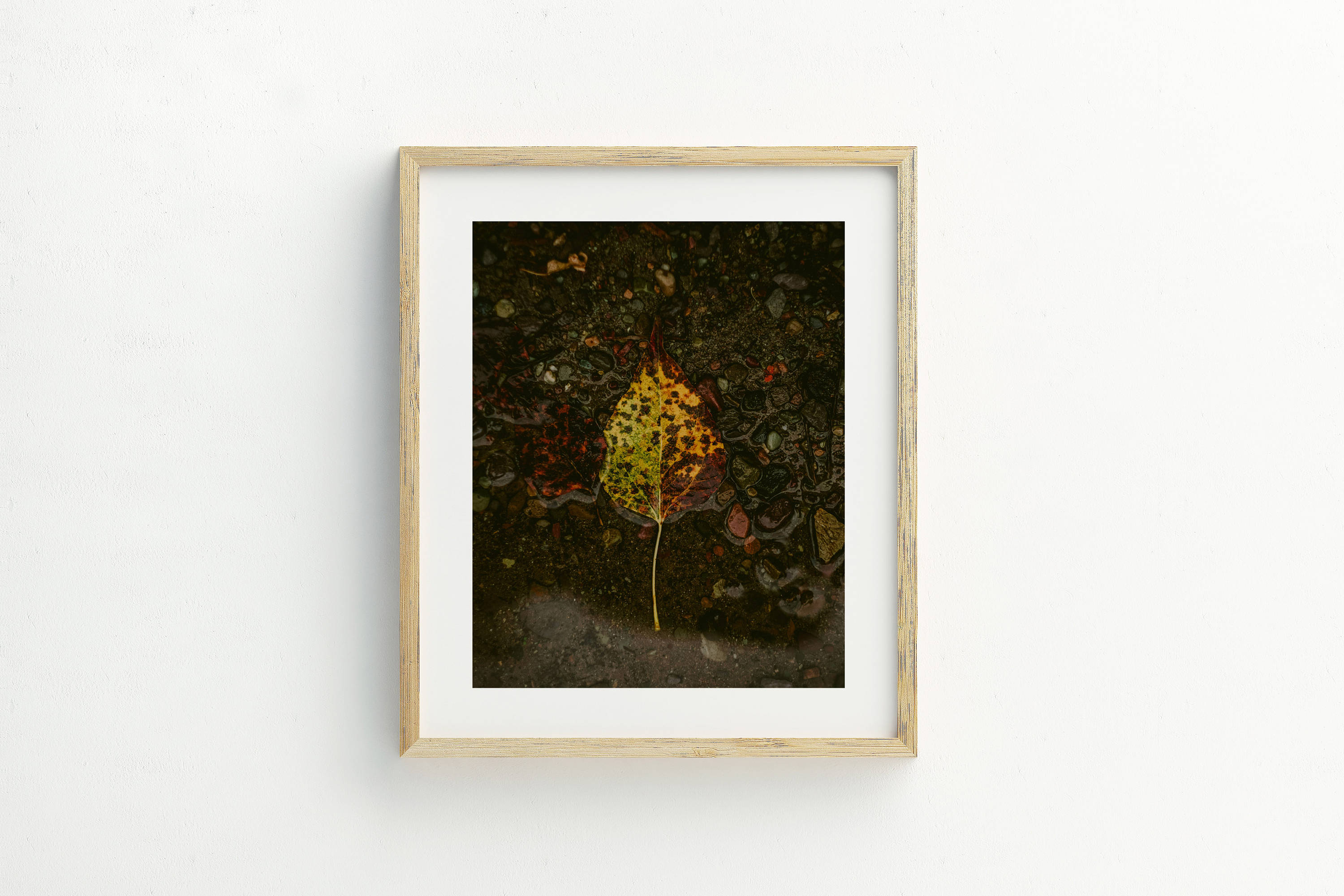 Nature Print Printable Art Digital Download Leaves Nature - Etsy New ...
