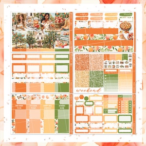 Peach Garden / Weekly Kit / Printable Planner Stickers / Erincondren ...
