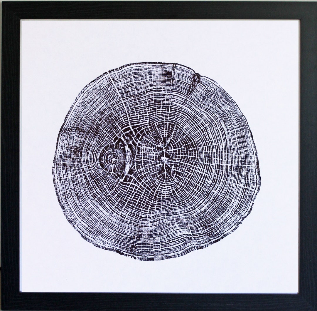 English Oak - Hand Printed Tree Ring Art Print Black 40cm - Etsy