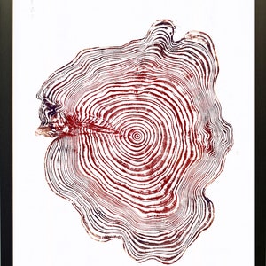 Western Red Cedar Autumnal - Tree Ring Print From Wytham Woods - Etsy