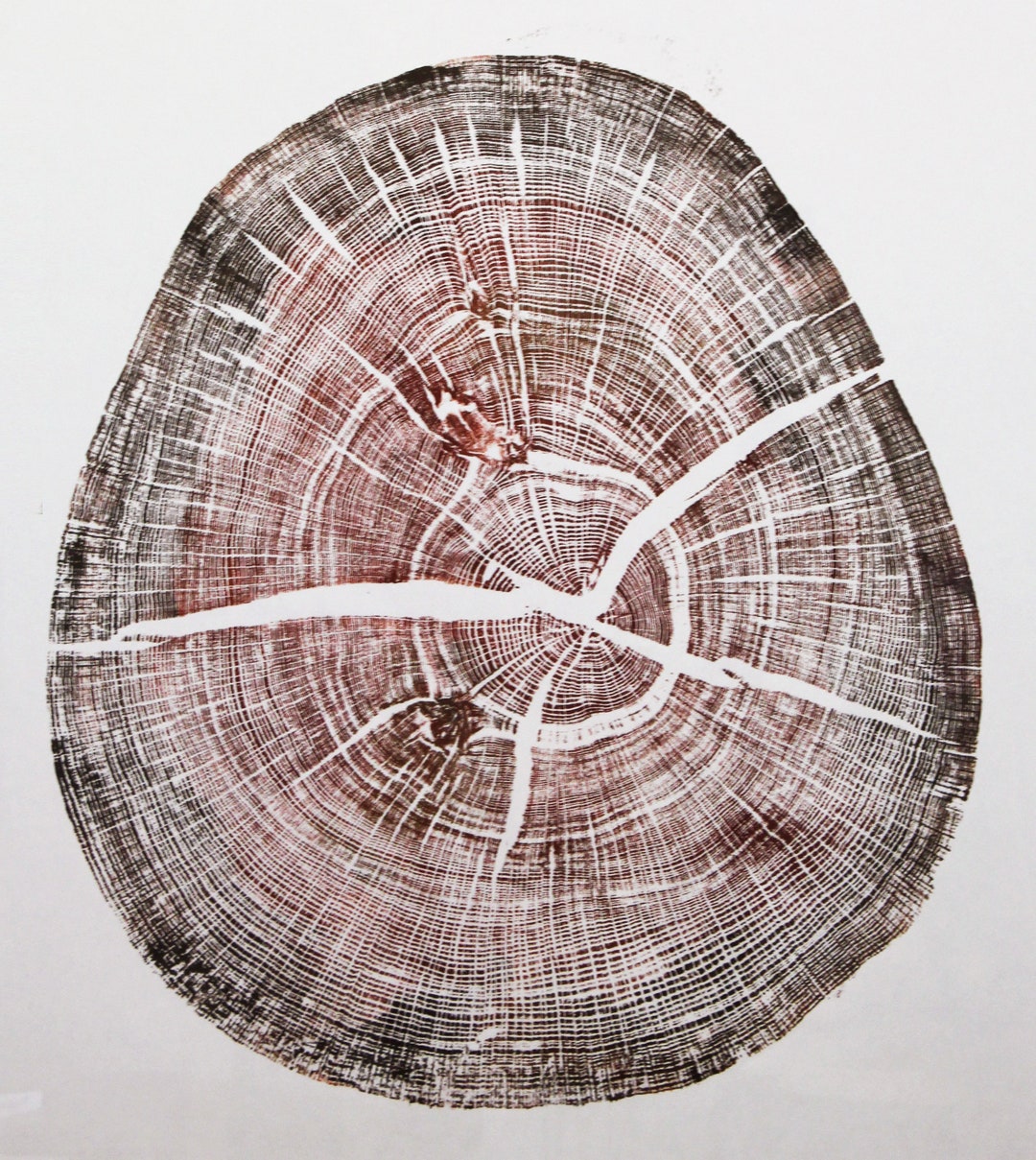 Wytham Woods Oak - Tree Ring Nature Print Oxford Autumnal - Etsy