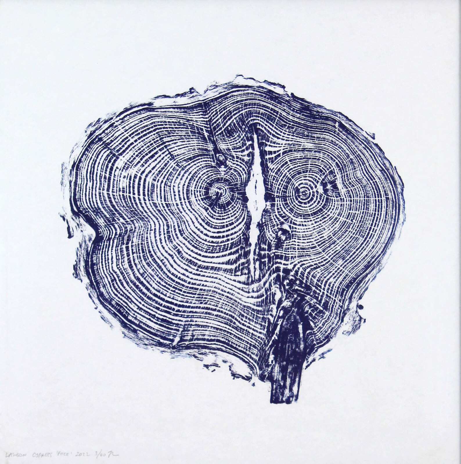 Lawson Cypress 'face' - Aqua Blue Contemporary Handmade Tree Ring Art ...