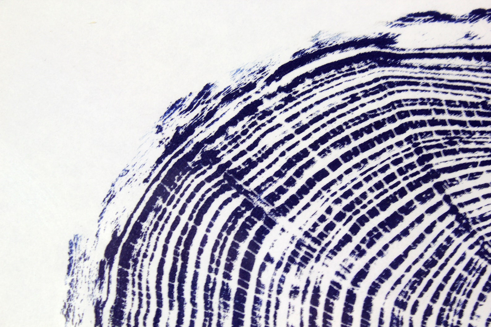 Lawson Cypress 'face' - Aqua Blue Contemporary Handmade Tree Ring Art ...