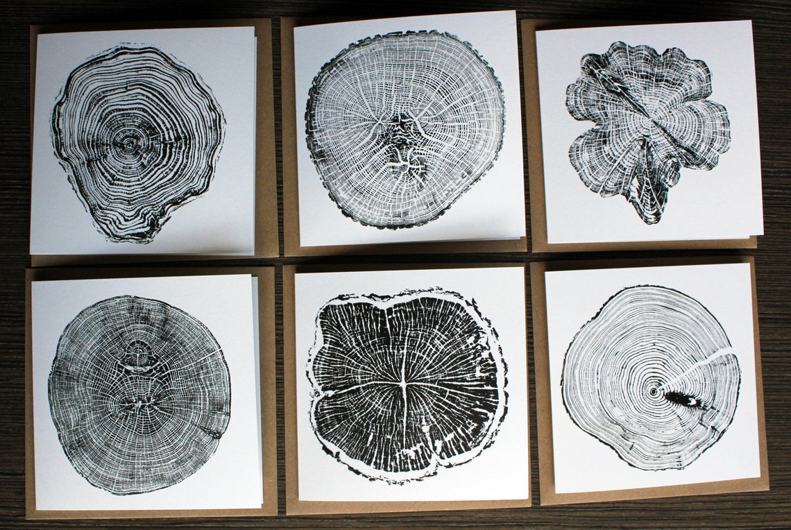 Art / Artist Greeting Card CYPRESS Tree Ring Print Nature Design ...