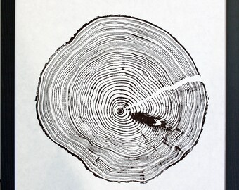 Yellowstone Wall Art Real Tree Ring Print Yellowstone Park - Etsy