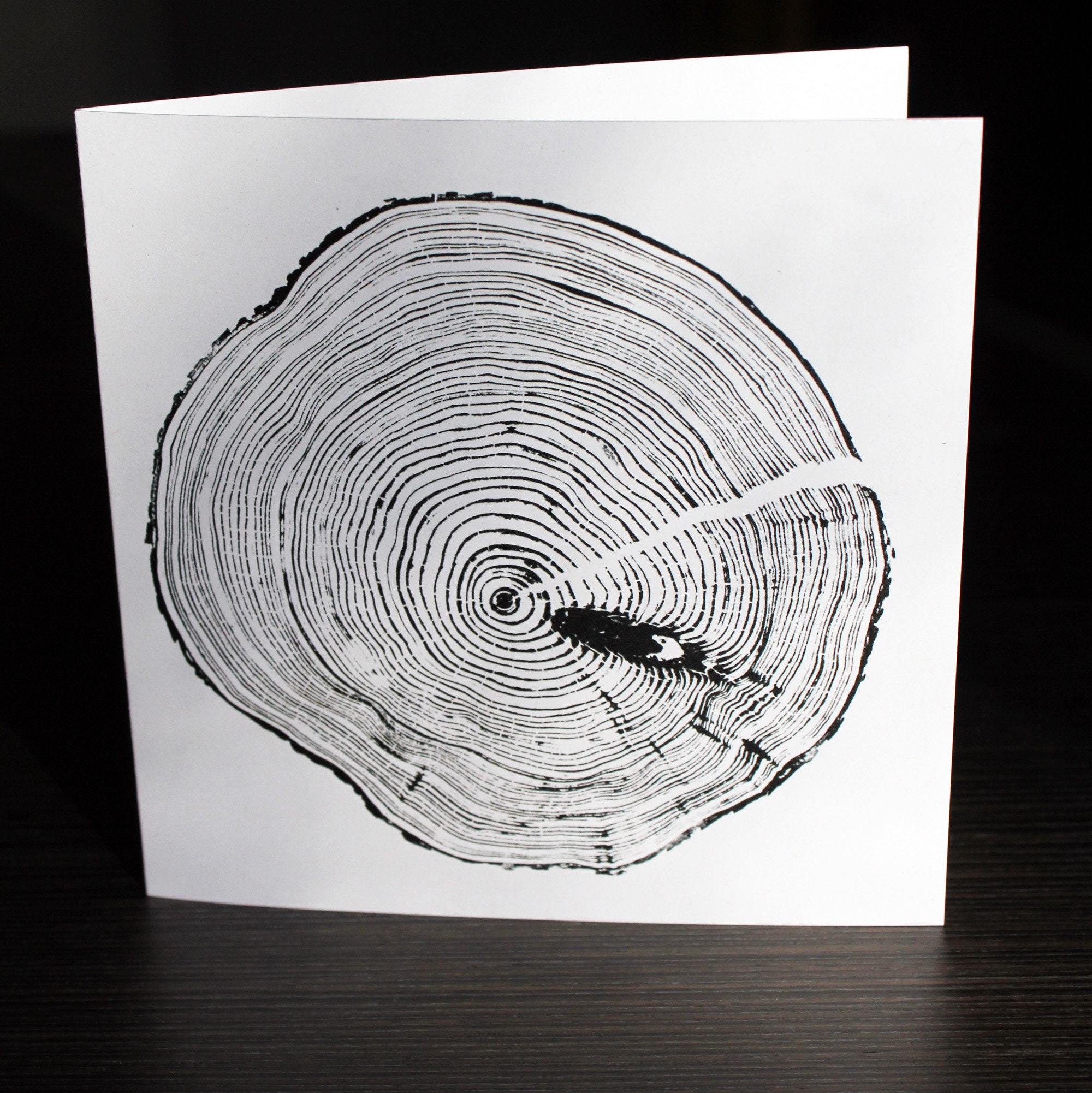 Tree Rings Design