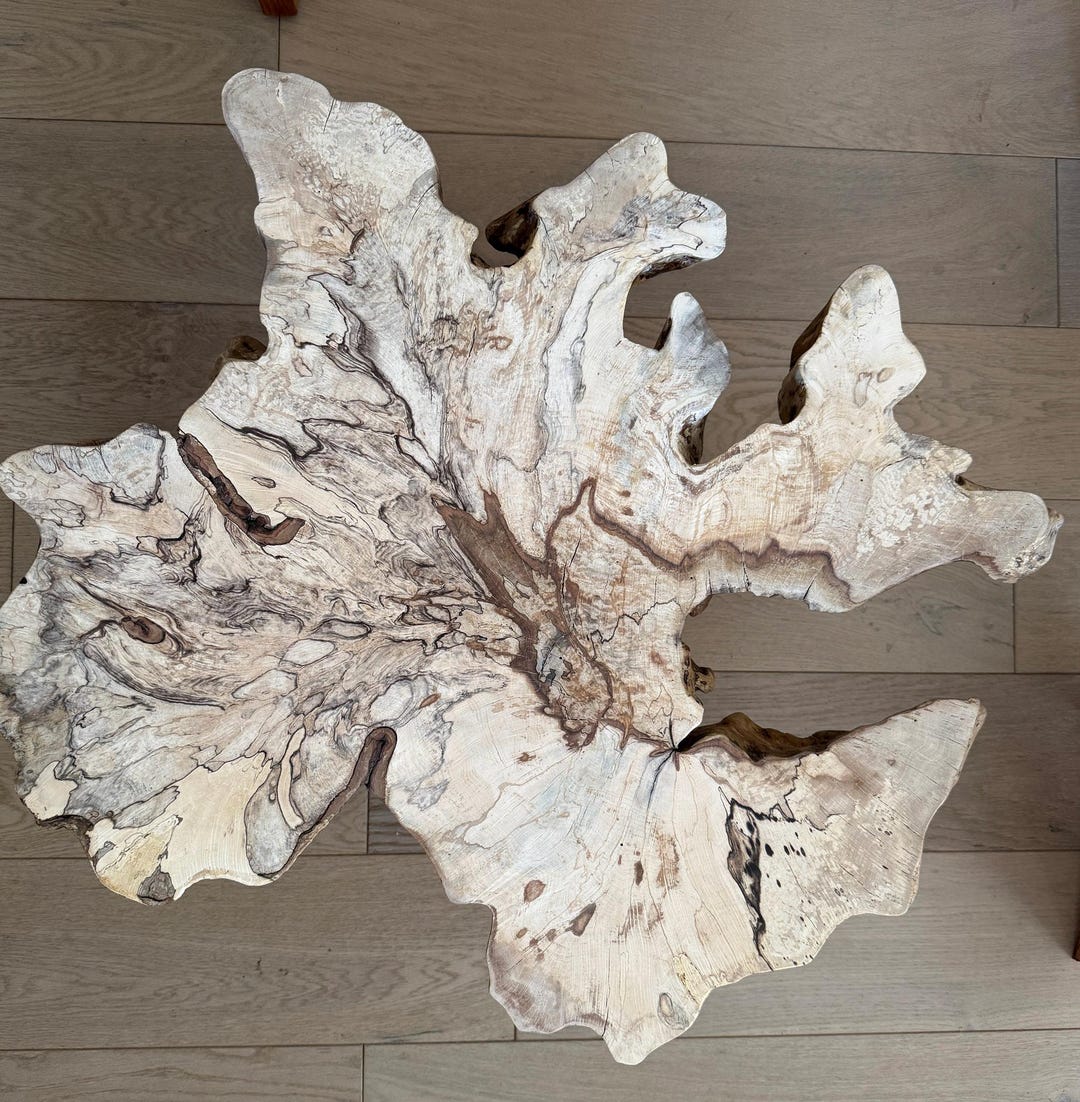 SPALTED HORNBEAM Side Table - Live Edge, Tree Stump, Natural Sculptural ...