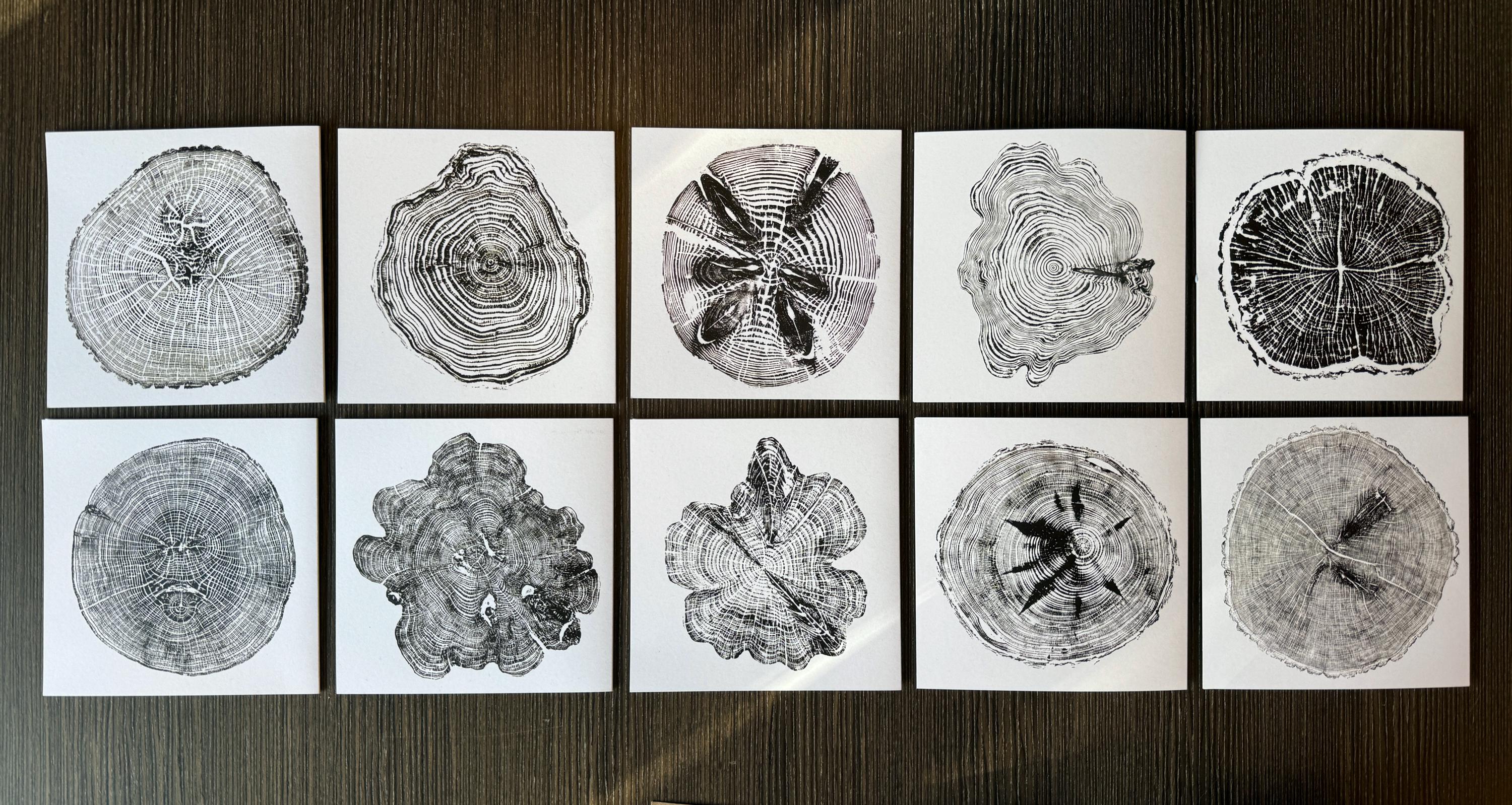 Art / Artist Greeting Card CYPRESS Tree Ring Print Nature Design ...