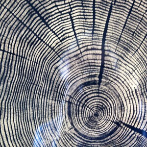 GOLD Ash - Contemporary Handmade Tree Ring Art Print 50x50cm on Black ...