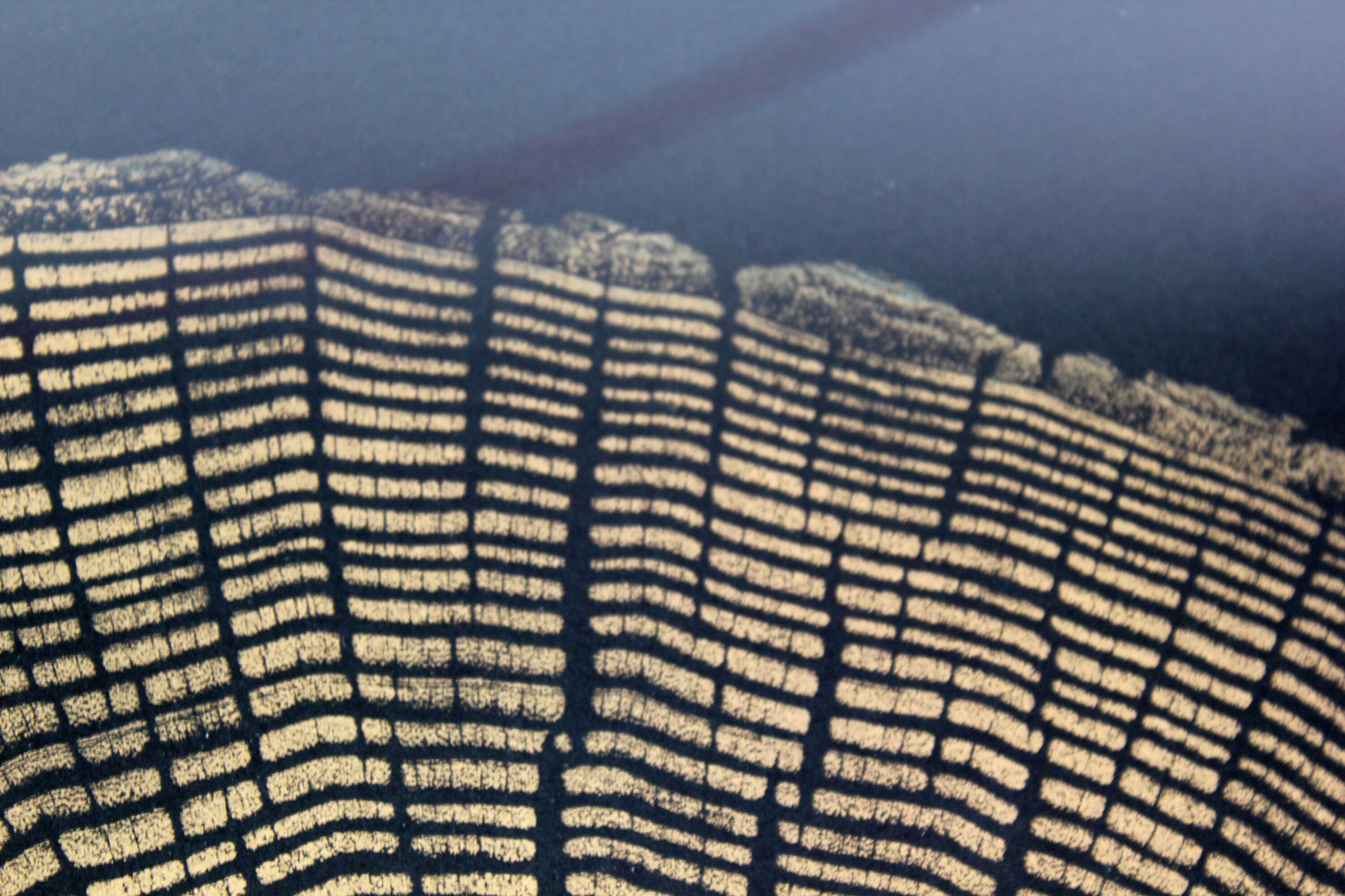 GOLD Ash Contemporary Handmade Tree Ring Art Print 50x50cm on Black ...