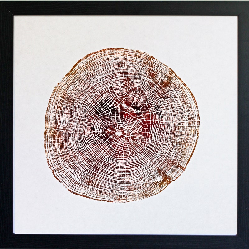 Tree Ring Art - Etsy