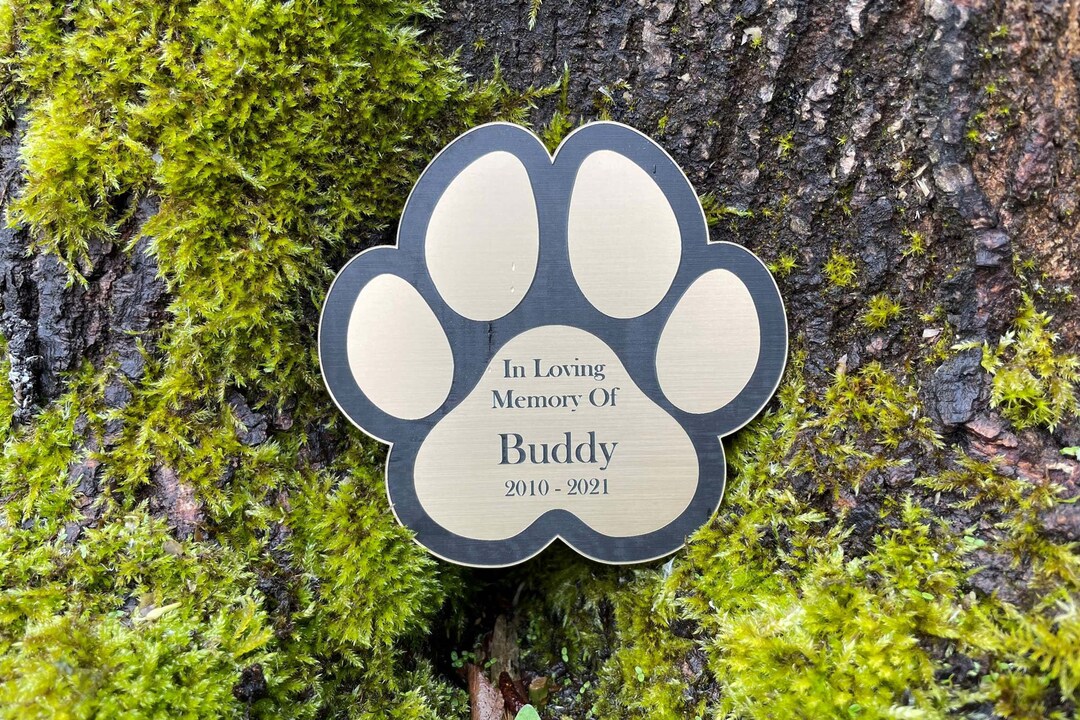 Personalised, Engraved, Paw Print, Pet Memorial, Plaque, Brushed Brass ...