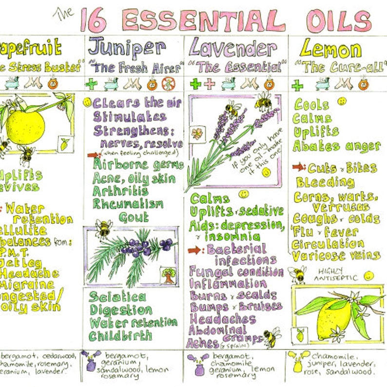 Essential Oils Chart by Liz Cook - Etsy