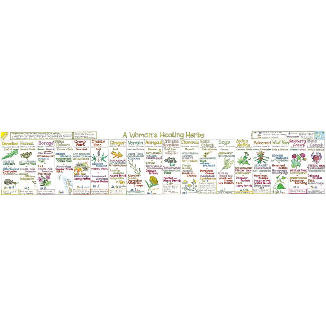 Woman's Healing Herbs Chart by Liz Cook Charts - Etsy