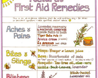 Woman's Healing Herbs Chart by Liz Cook Charts - Etsy