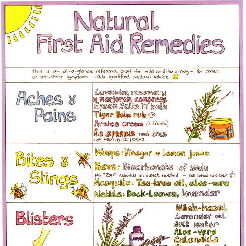 Natural First Aid Remedies Chart by Liz Cook - Etsy