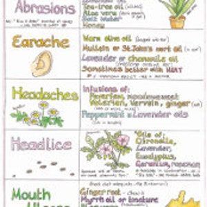 Natural First Aid Remedies Chart by Liz Cook - Etsy