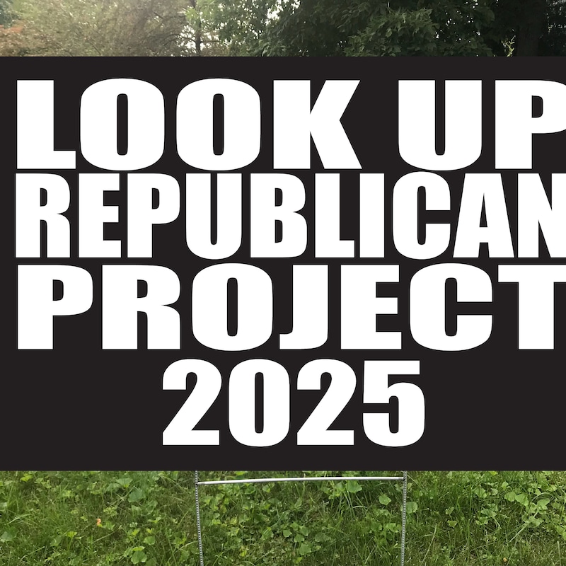 2025 Protest Signs - Etsy