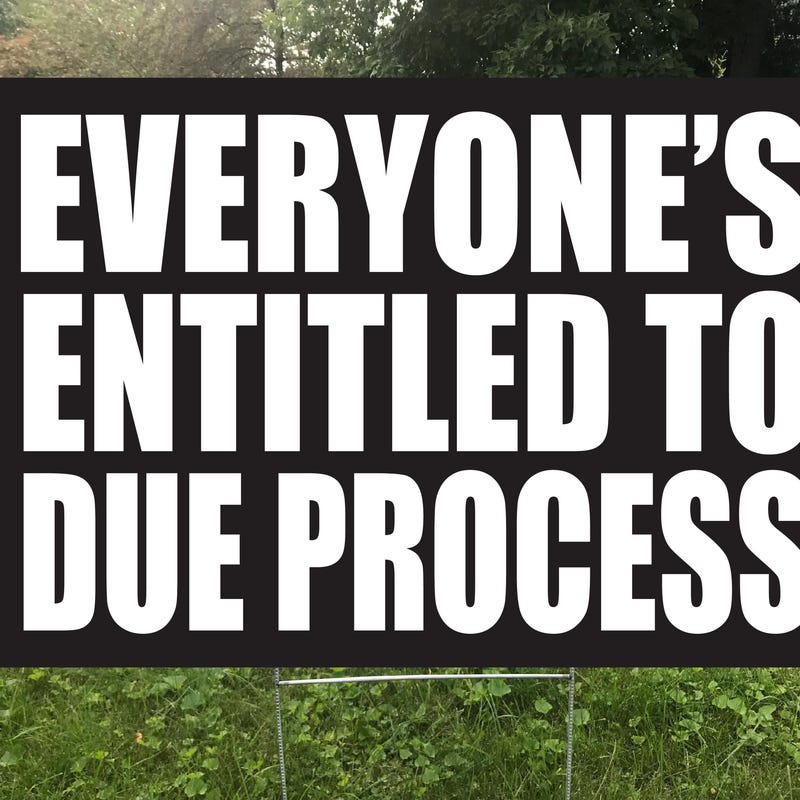 Due Process Protest Sign - Etsy