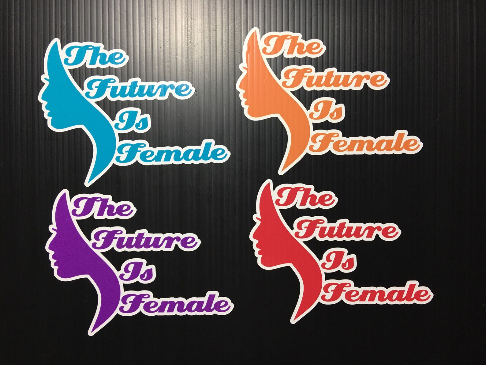 The Future is Female Profile Sticker Feminist Decal - Etsy