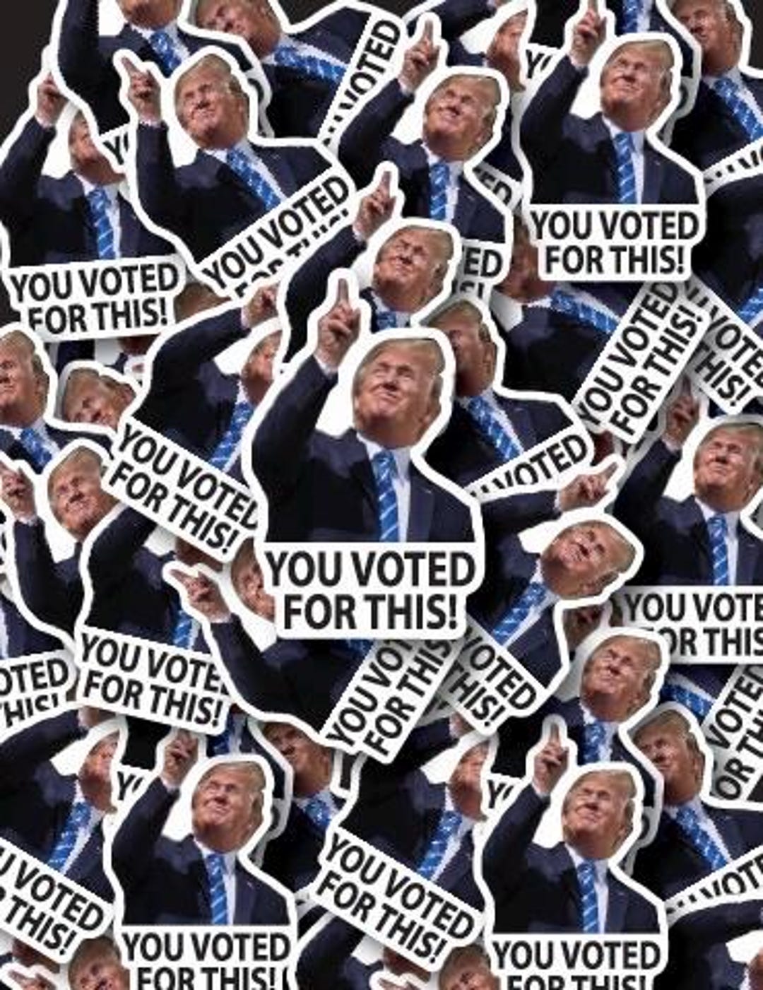 Trump “you Voted for This” Individual Stickers Pack, Die Cut Waterproof ...