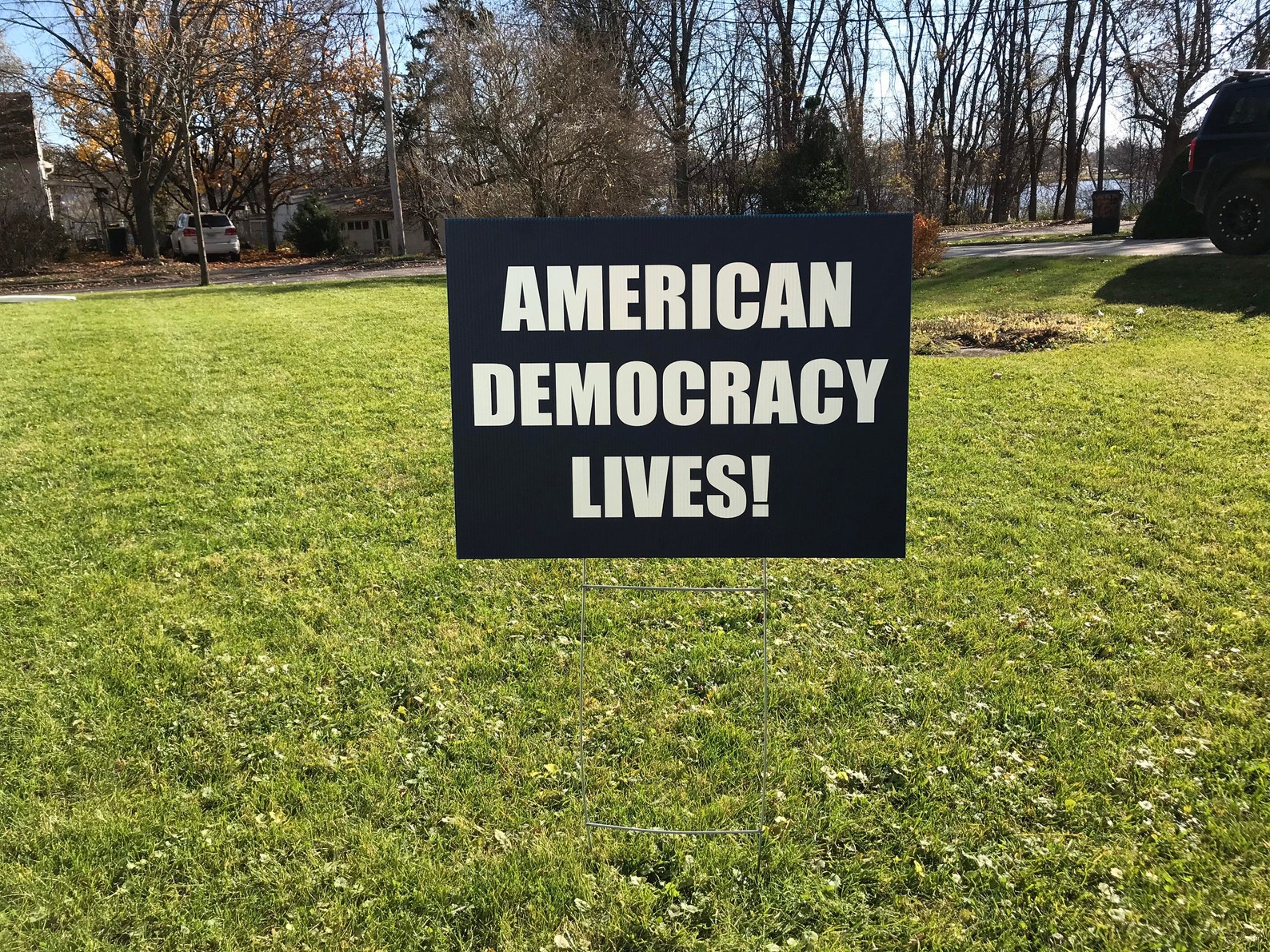 American Democracy Lives! Yard Sign - Etsy