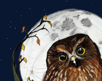A3 Illustrated New Zealand Ruru Owl morepork Print | Etsy