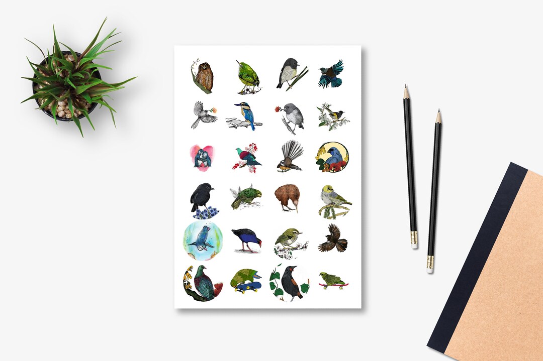 A4 New Zealand Native Birds Sticker Sheet - Etsy
