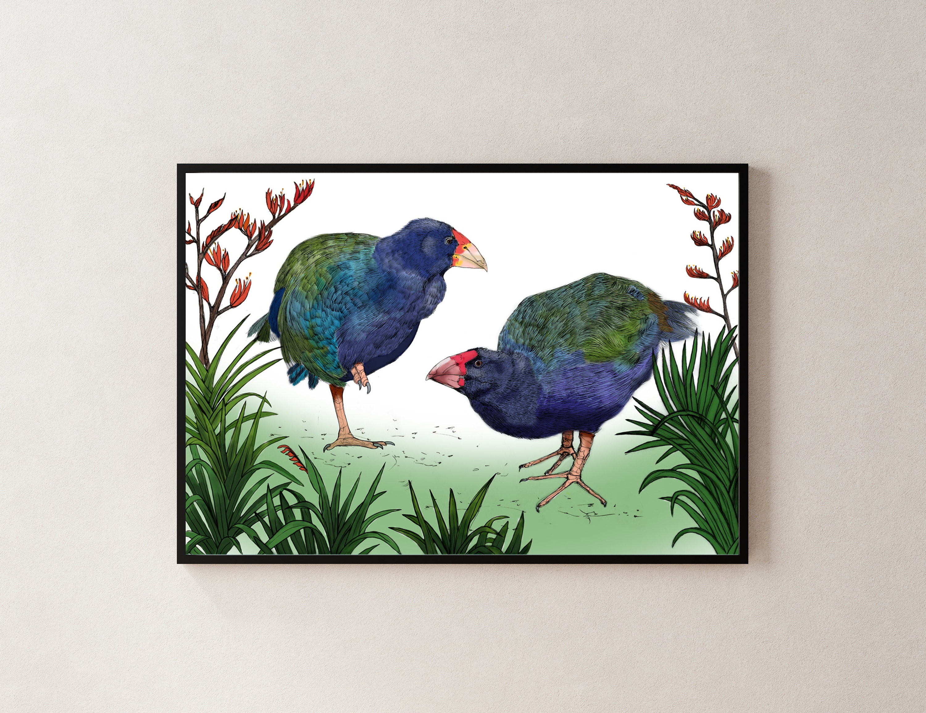 Takahe Bird