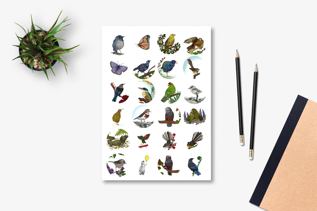 Native NZ Bird and Fauna Sticker Sheet – Tūī, Kea, Kākā & More ...