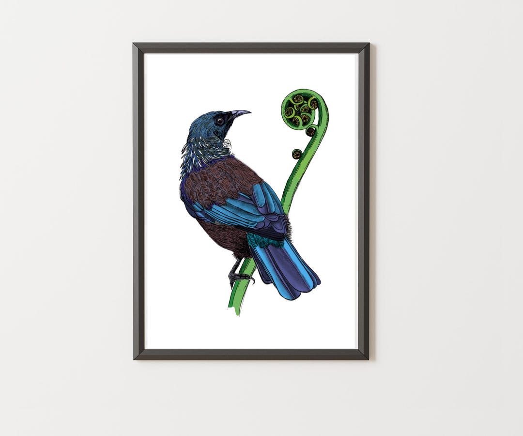 Tūī & Koru Art Print | NZ Native Bird Illustration | Giclée Wall Art ...