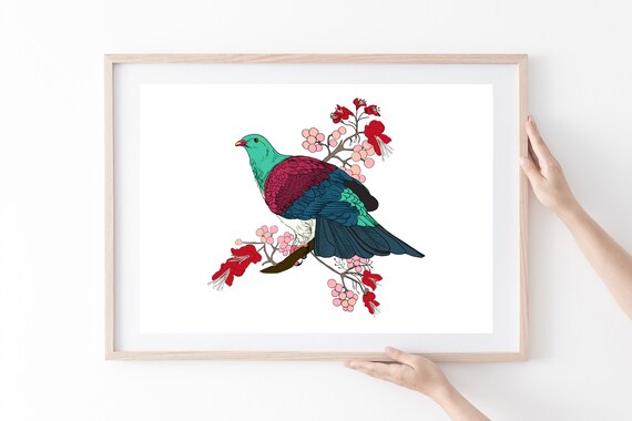Native New Zealand Kereru and Puriri Flower Print | Etsy