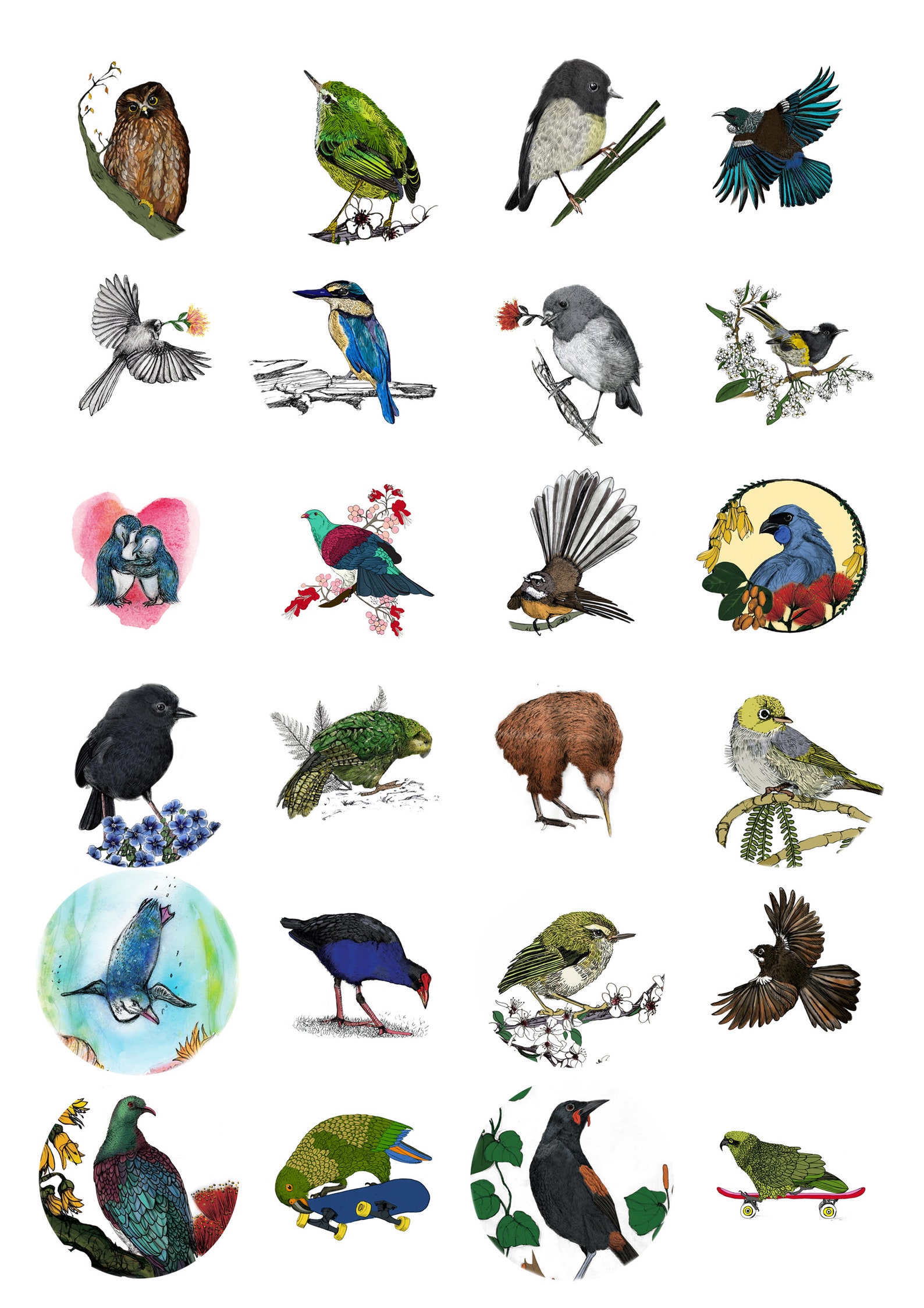 New Zealand Native Birds Sticker Sheet | A4 Illustrated Wildlife ...